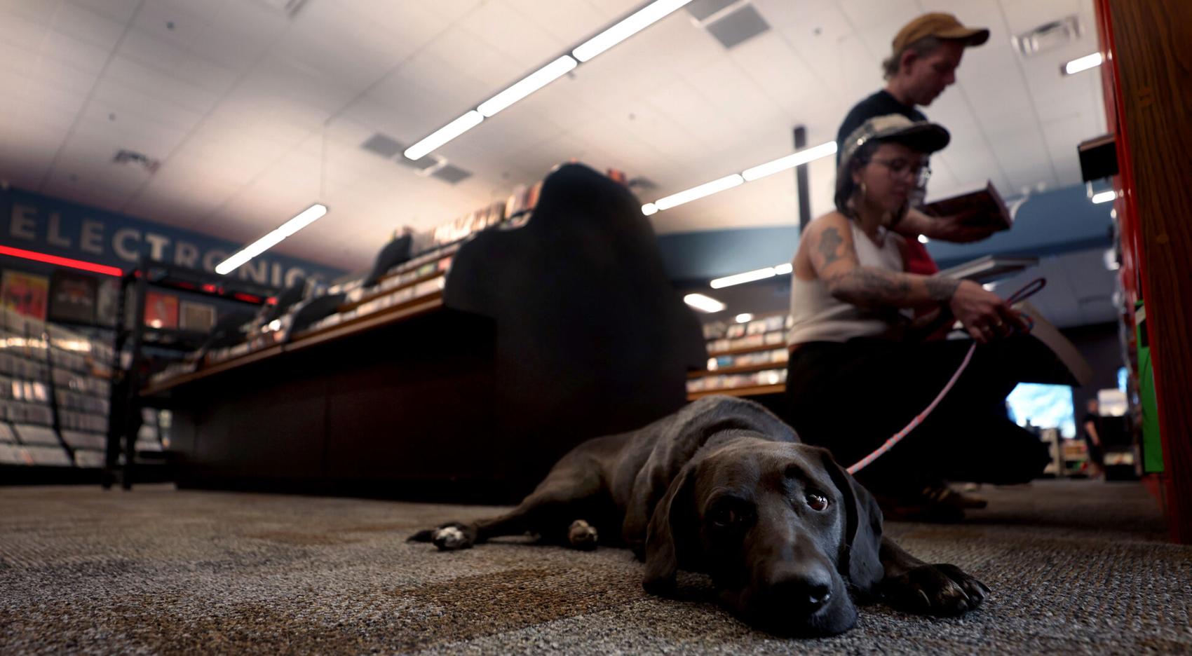After closing 2 stores, Bookmans opens new Tucson location
