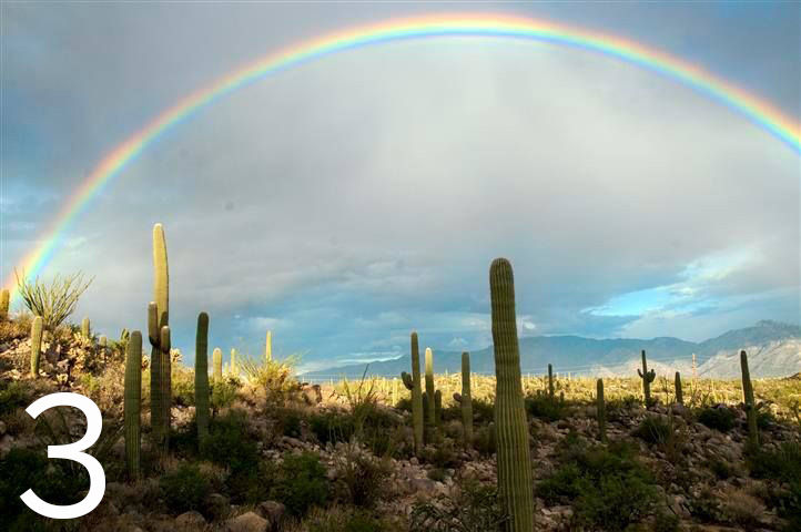 Pick Tucson's favorite monsoon photo of the year | Local news | tucson.com