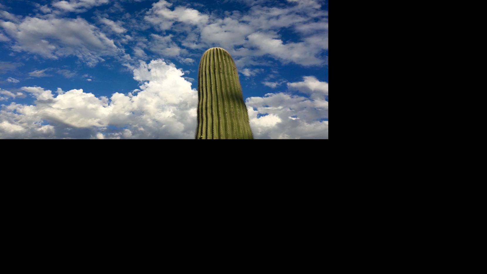 Tucson weather: Unseasonably warm temperatures continue through the ...