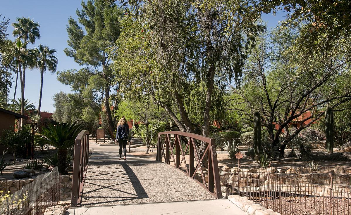 Photos: On the grounds of Tucson's Canyon Ranch