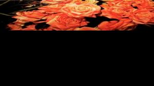 Silk Expressions' creative artistry