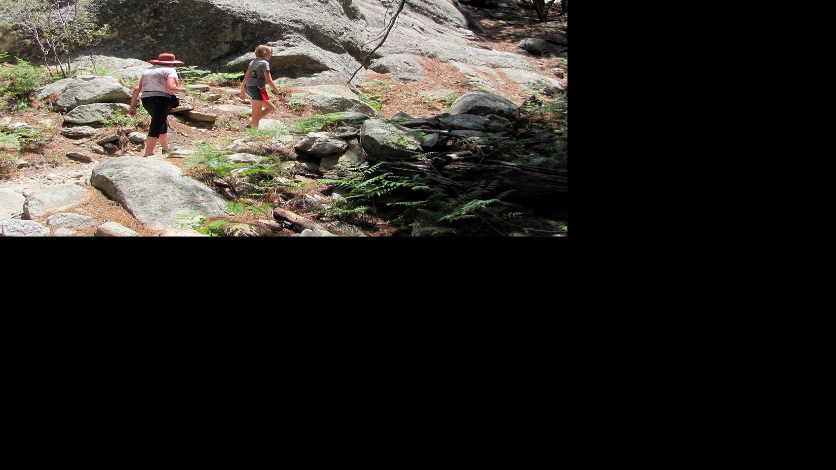 Mount Bigelow is home to huge towers and forest splendor