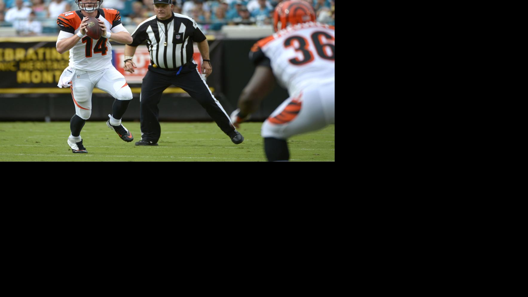 Greg Hansen: Ex-NFL ref Hall tops distinguished PCSHOF class ...