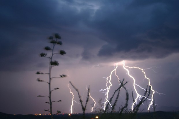 Monsoon photo contest winners