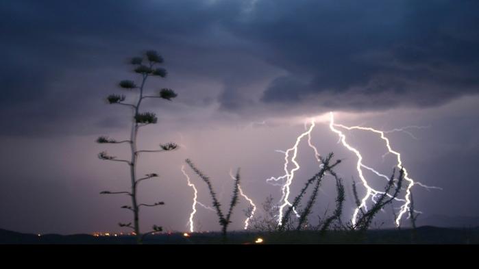 Monsoon photo contest winners