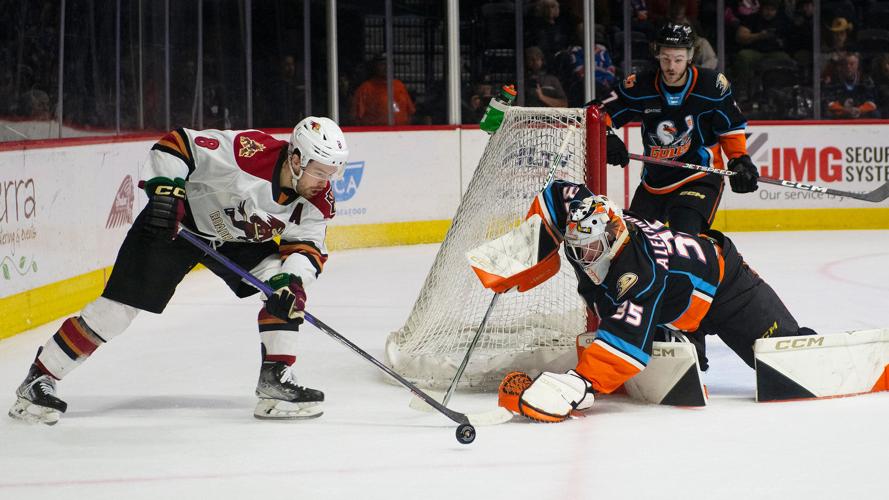 Winners of 5 of 6, Roadrunners' AHL playoff picture finding focus ...