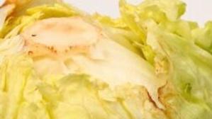 Is the red stuff on lettuce safe to eat?