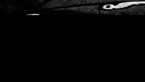 Eric Dowling dies; helped plan 'Great Escape' of '44