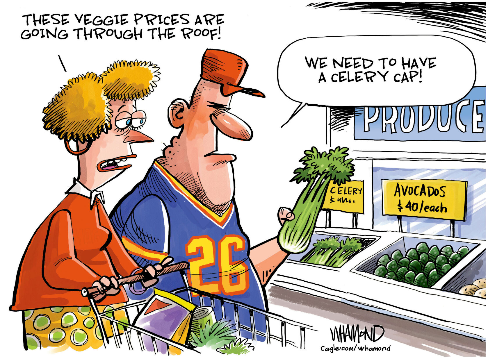 ANOTHER VIEW | Dave Whamond | Cagle Cartoons