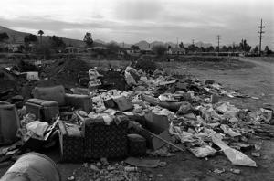 The Santa Cruz River starts thriving again, water supply is restored