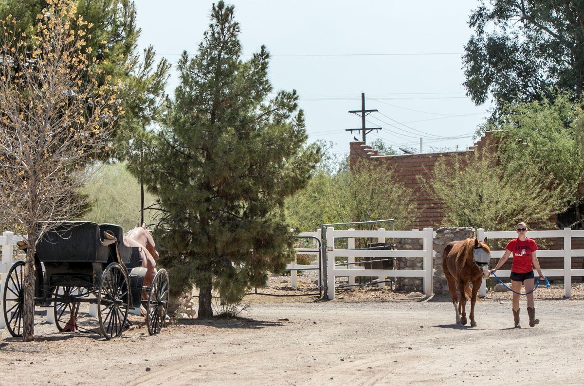 Photos: Therapeutic Ranch for Animals and Kids | Photos by Ron ...