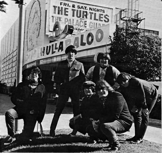 All the Turtles, together on 8 CDs | | tucson.com