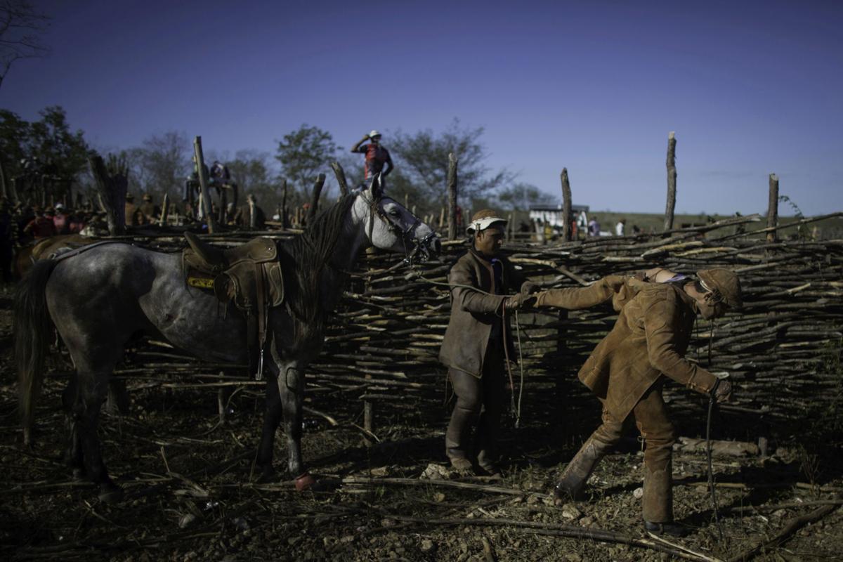 Brazilian cowboys