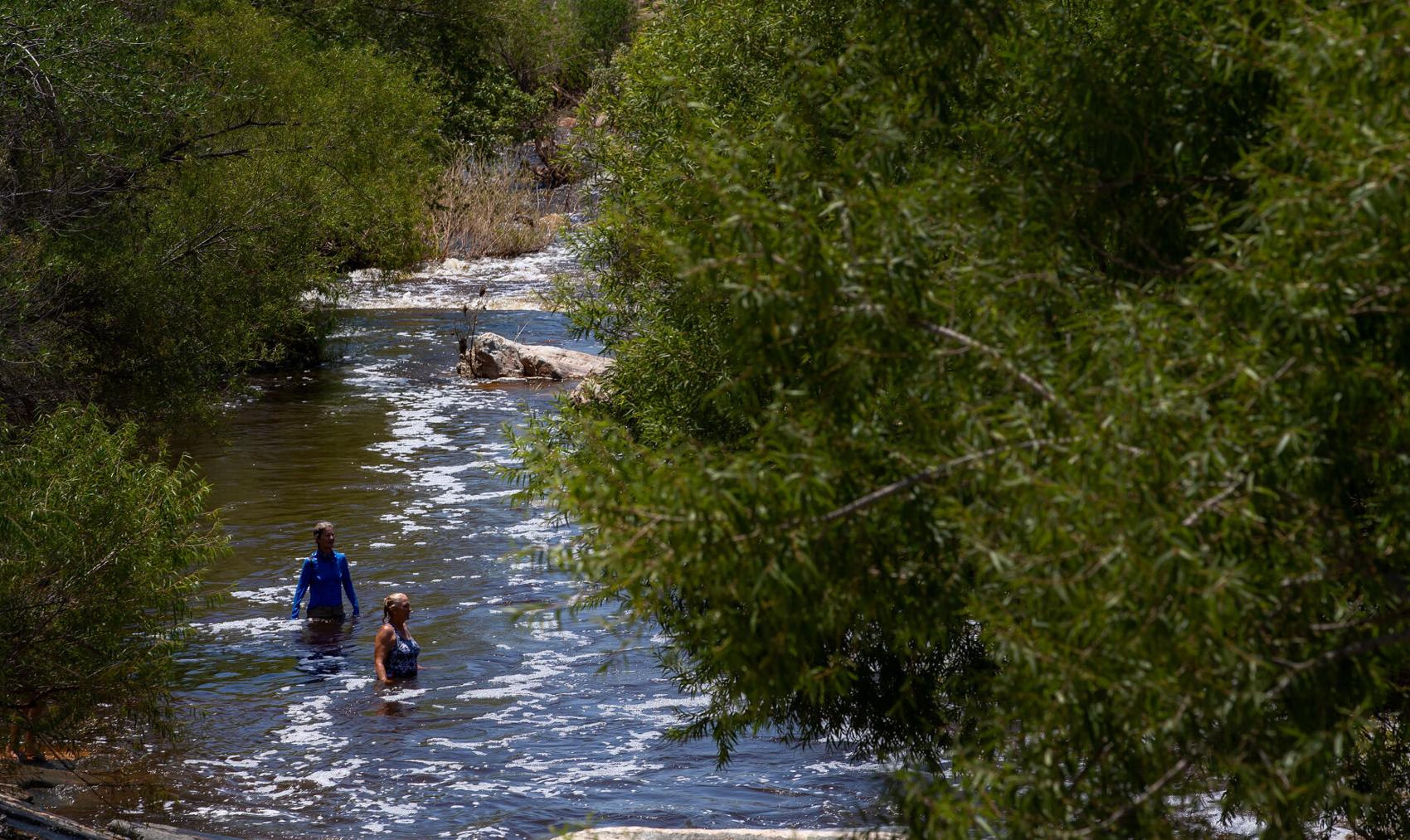 Photos: Rainfall brings Sabino Canyon back to a lush life
