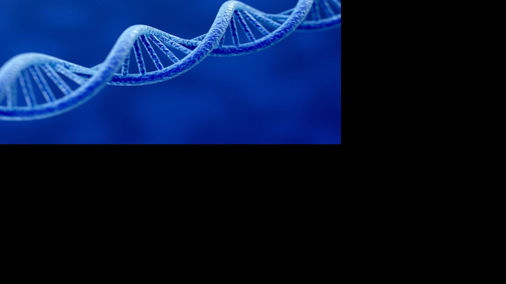 Scientists sequence the complete human genome for the first time