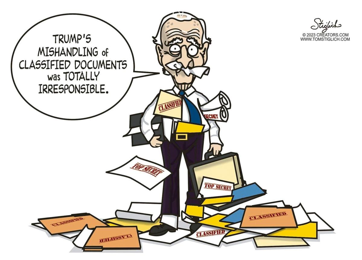 10th amendment cartoons