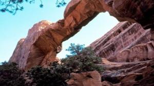 Iconic stone arch collapses in southern Utah park