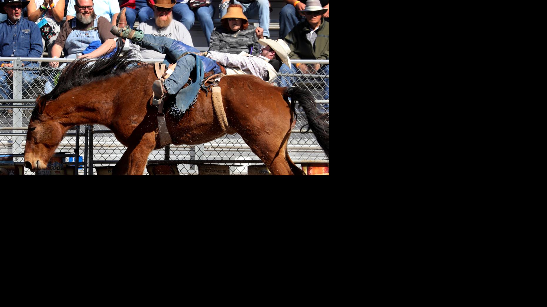 Photos: Day six events as La Fiesta de los Vaqueros Rodeo enters it's ...