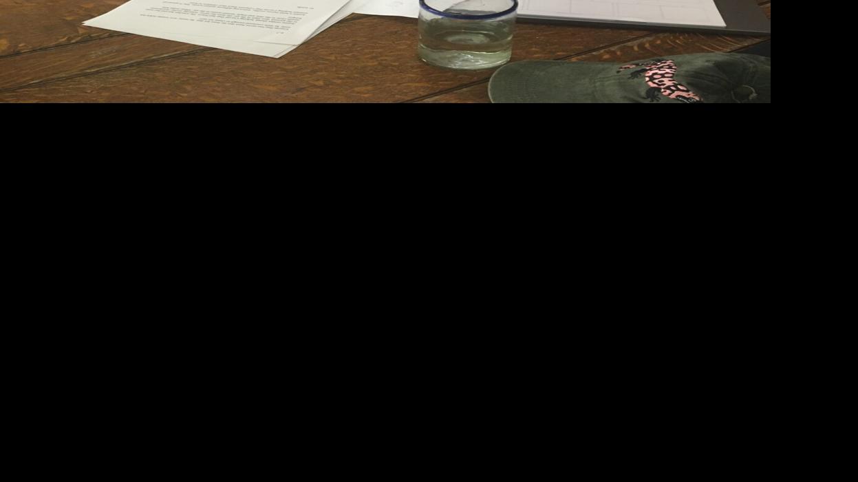 Author Barbara Kingsolver teams with Tucson artist on book | Local news ...