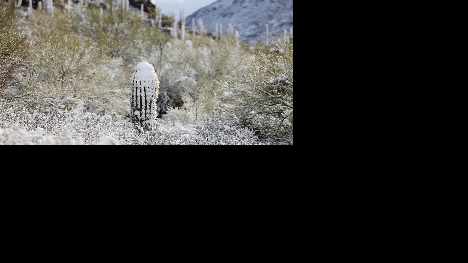 Rain, cold air coming to Tucson — snow possible next week