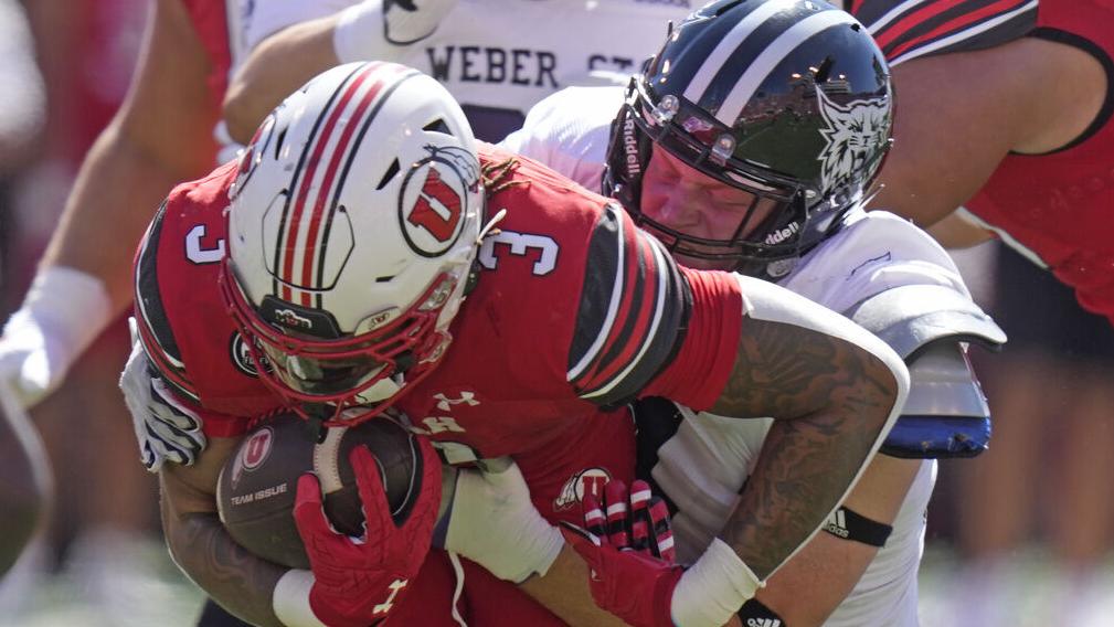 Arizona football to face Weber State for the first time ever