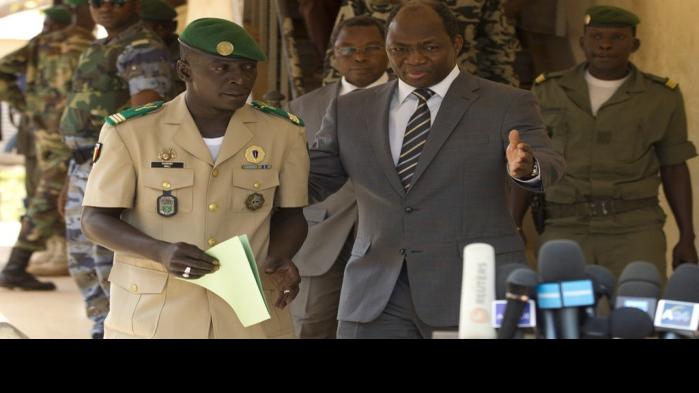 Mali coup leader pledges return to constitutional rule, elections