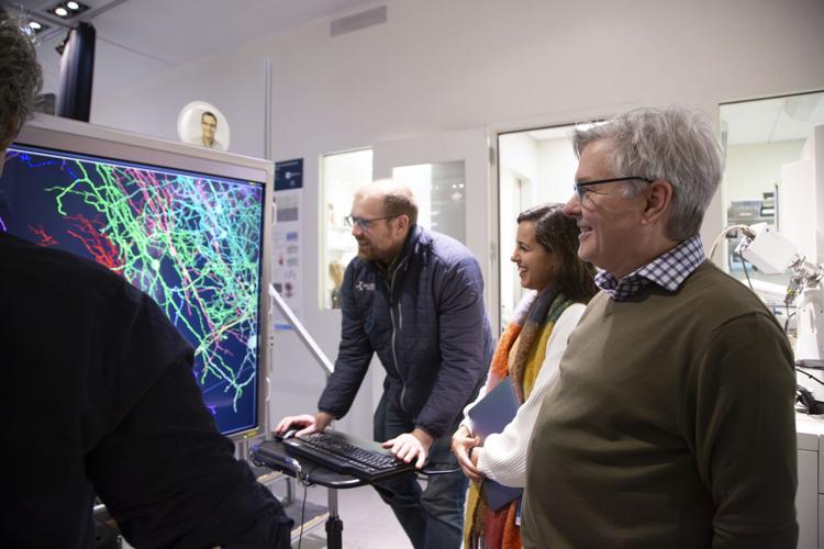 Scientists map part of mouse brain, and it's very complex