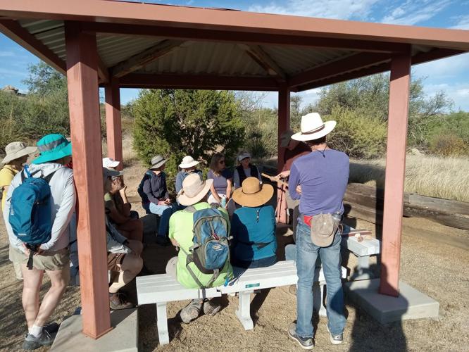 Let's Go For a Walk | Clubs | tucson.com