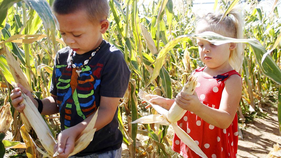 15 local festivals to make your fall season complete | tucson life ...