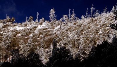 Photos: Snow on Mt. Lemmon and Catalinas