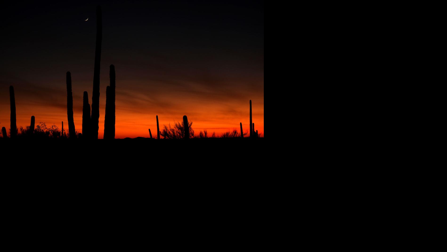 Dance, hike and more under the night sky at Tucson-area star parties ...