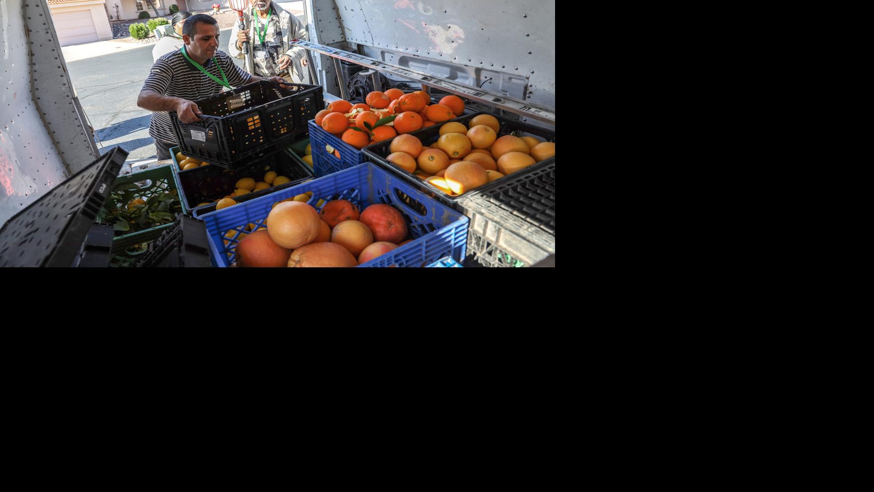 Surplus citrus from homeowners' fruit trees being accepted at Tucson ...