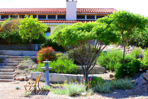 Desert Ashram offers serenity, lightness
