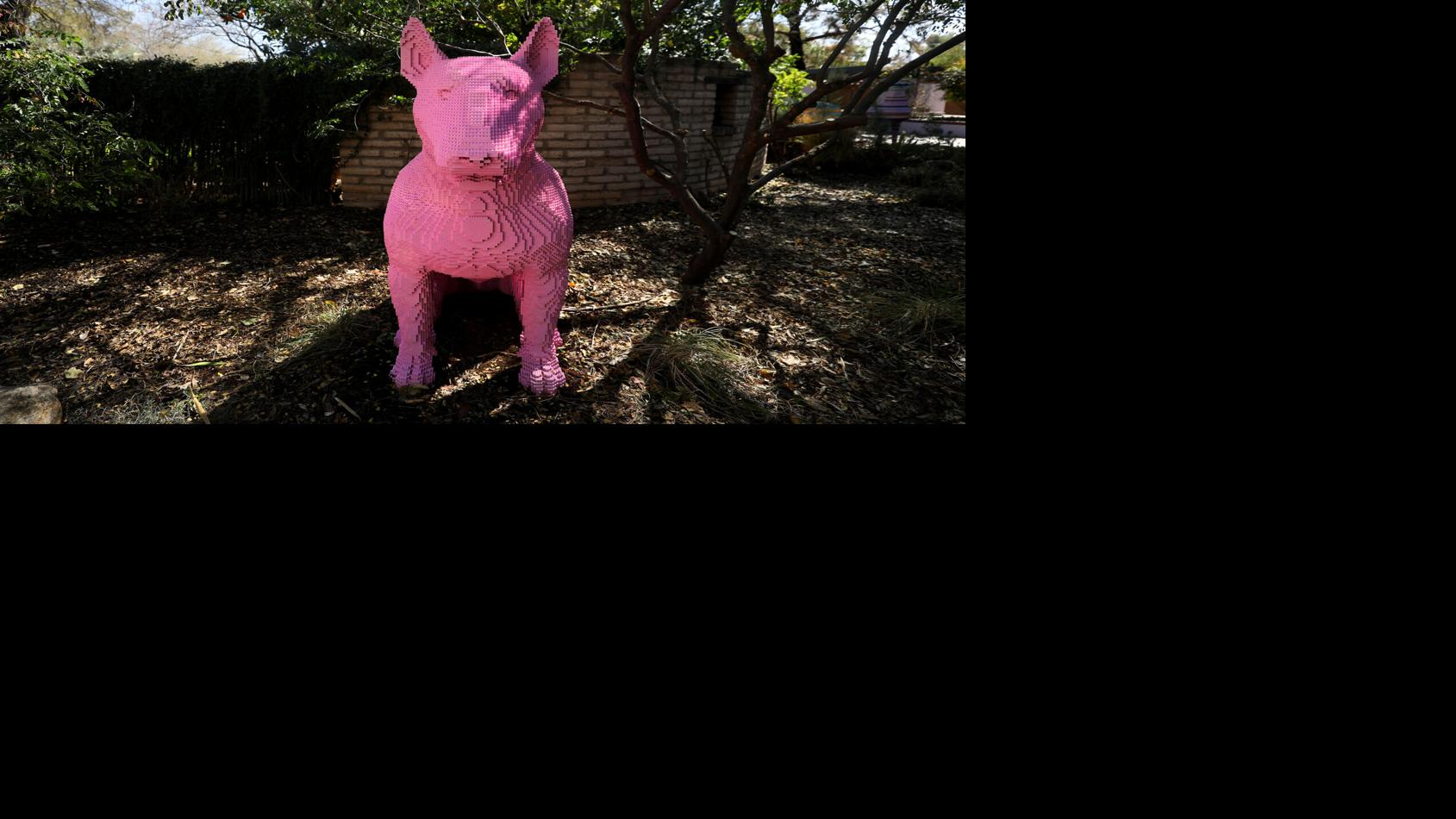 Find life-size LEGO sculptures at the Botanical Gardens' new exhibit ...