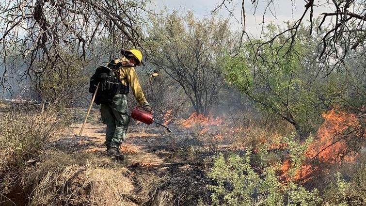 Wildfire north of Tucson now 75% contained