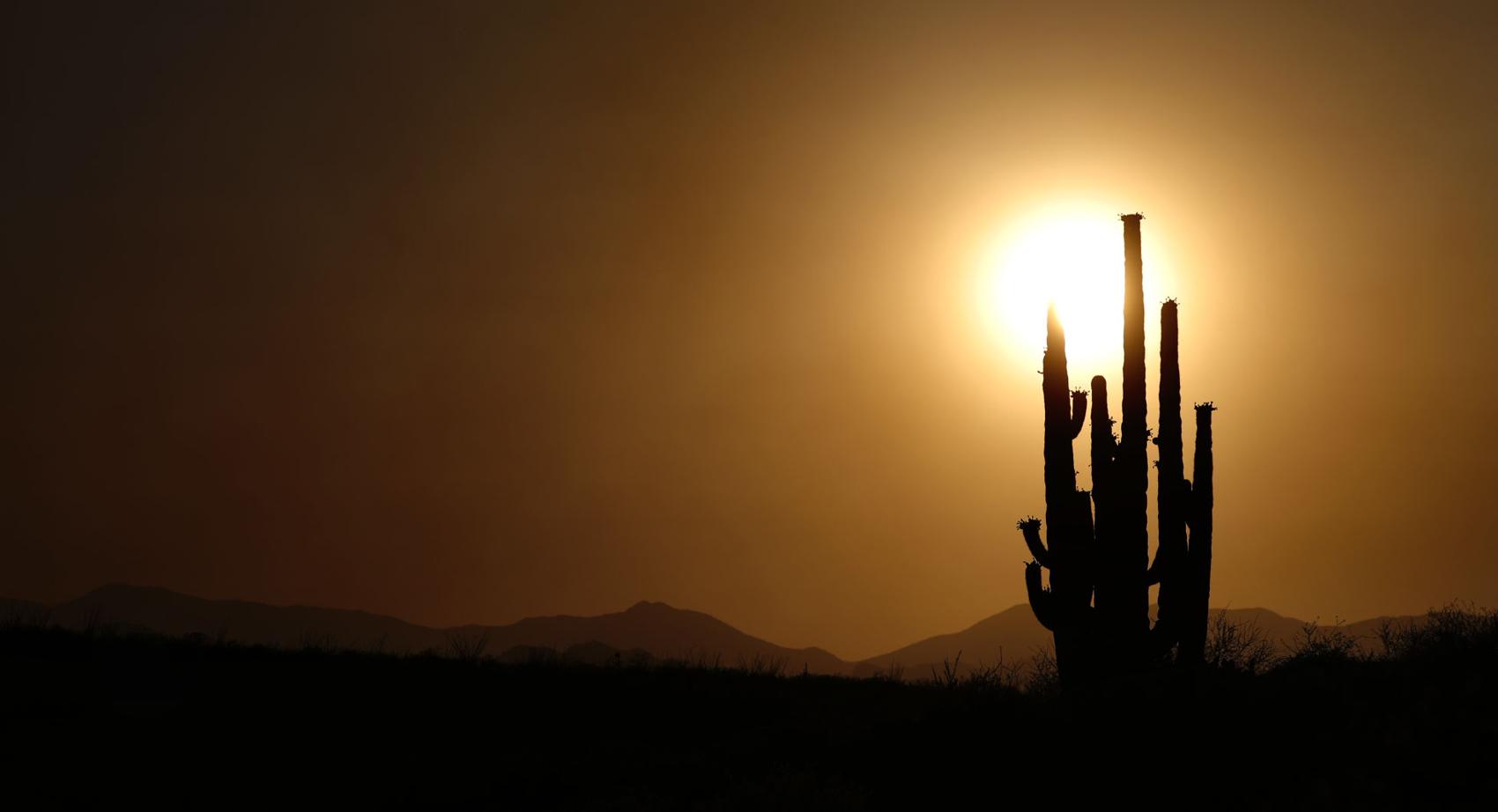 Mount Lemmon, Summerhaven under evacuation as crews battle Bighorn Fire