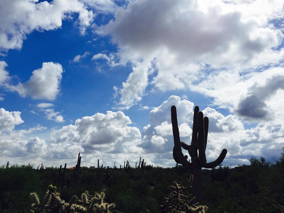 Tucson weather: Showers and thunderstorms return for the weekend