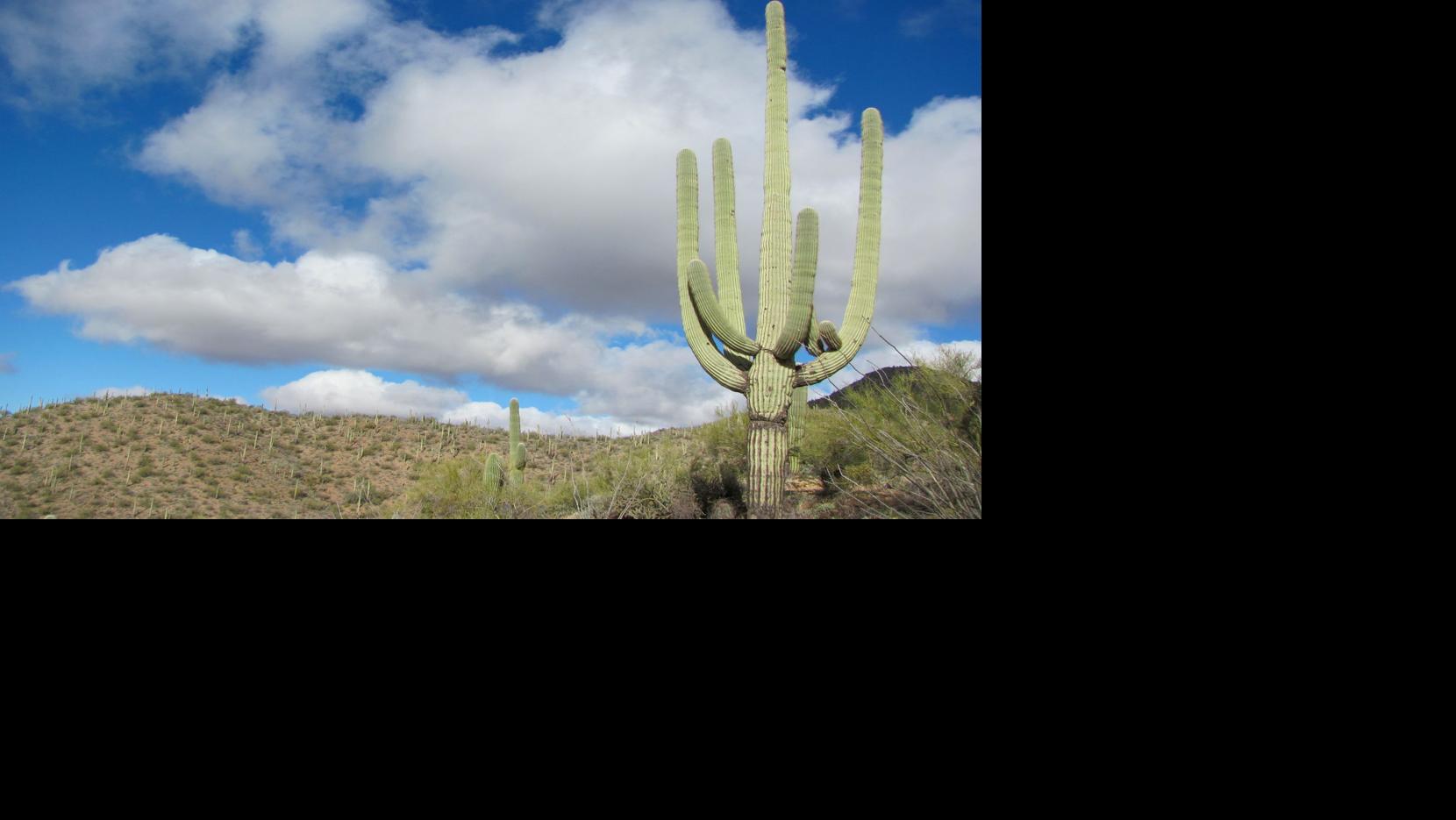 Tucson weather: Below normal temperatures continue through tomorrow