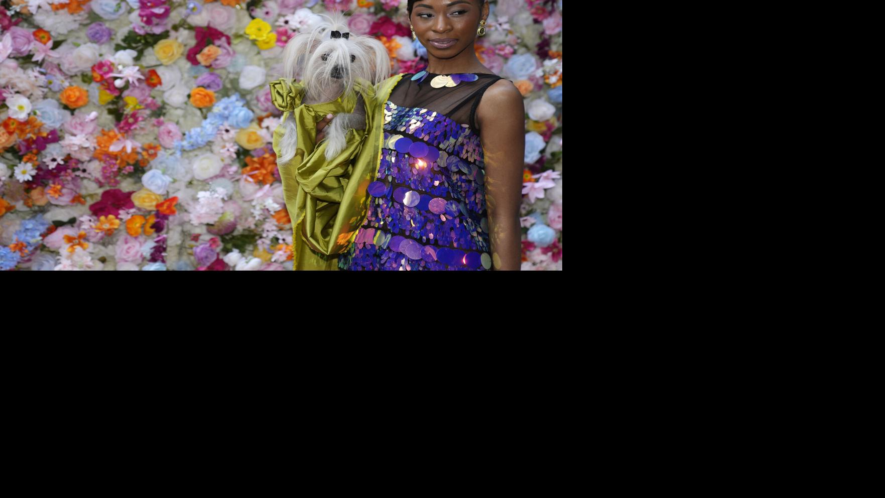 Pet Gala at New York's American Kennel Club Museum of the Dog