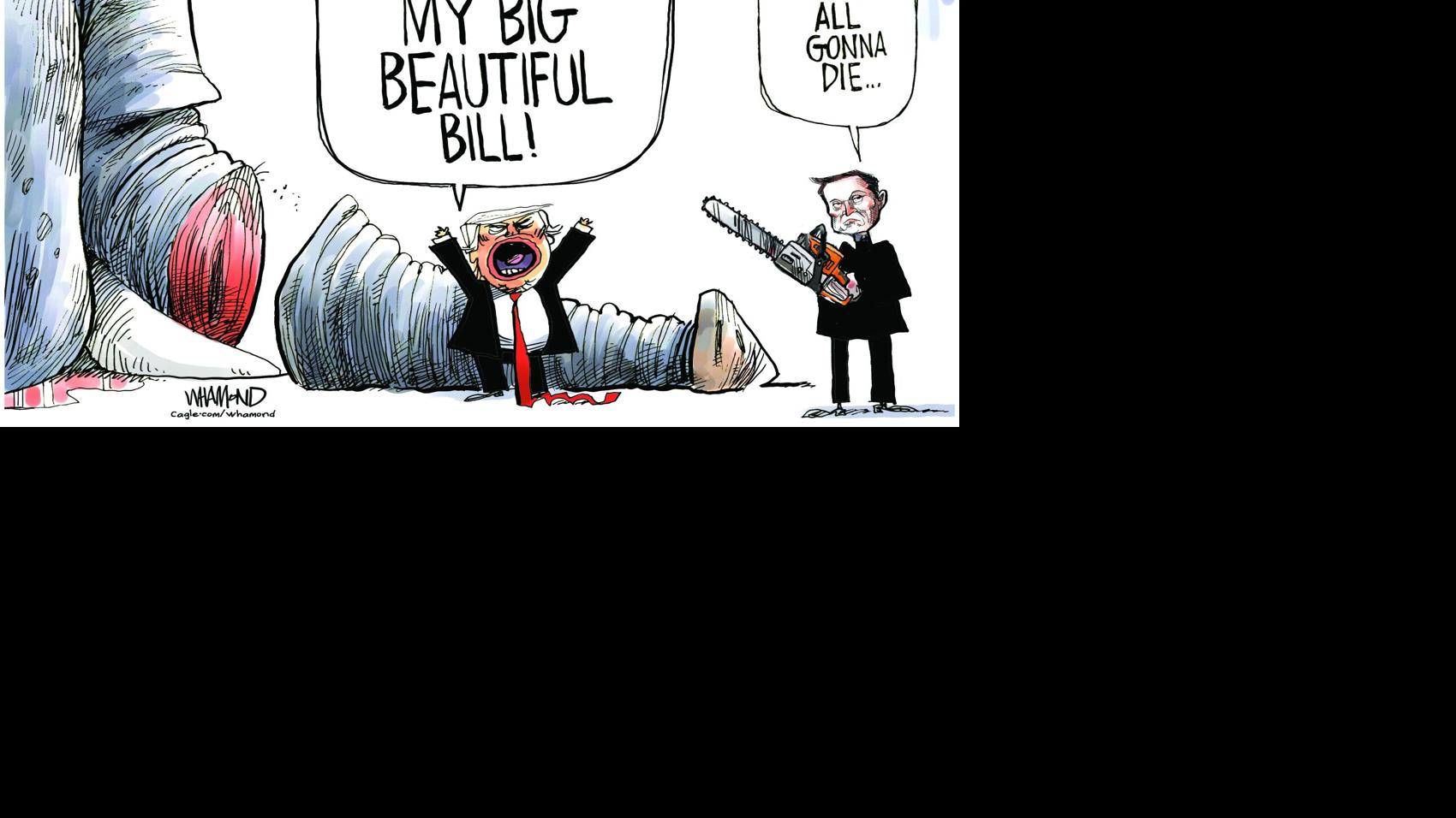 ANOTHER VIEW | Dave Whamond | Cagle Cartoons