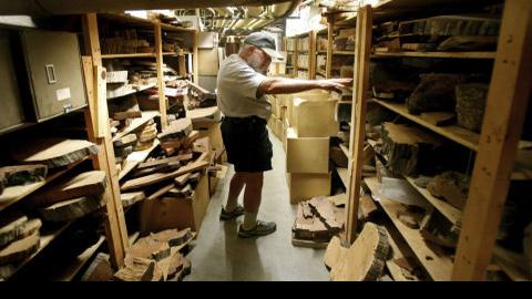 University of Arizona Laboratory of Tree Ring Research