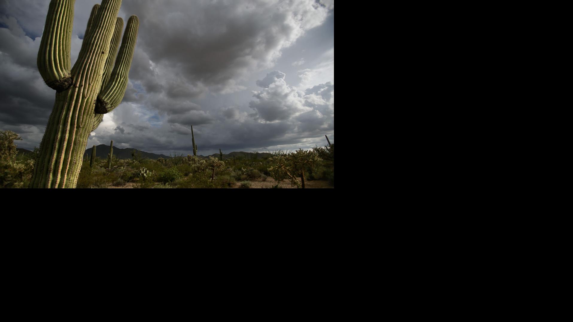 Tucson weather: Storm activity expected throughout the weekend