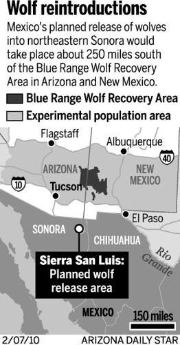 mexican grey wolf range