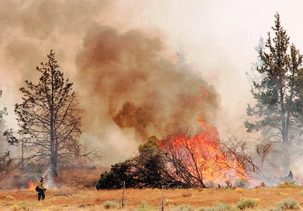 Fighters set back burn