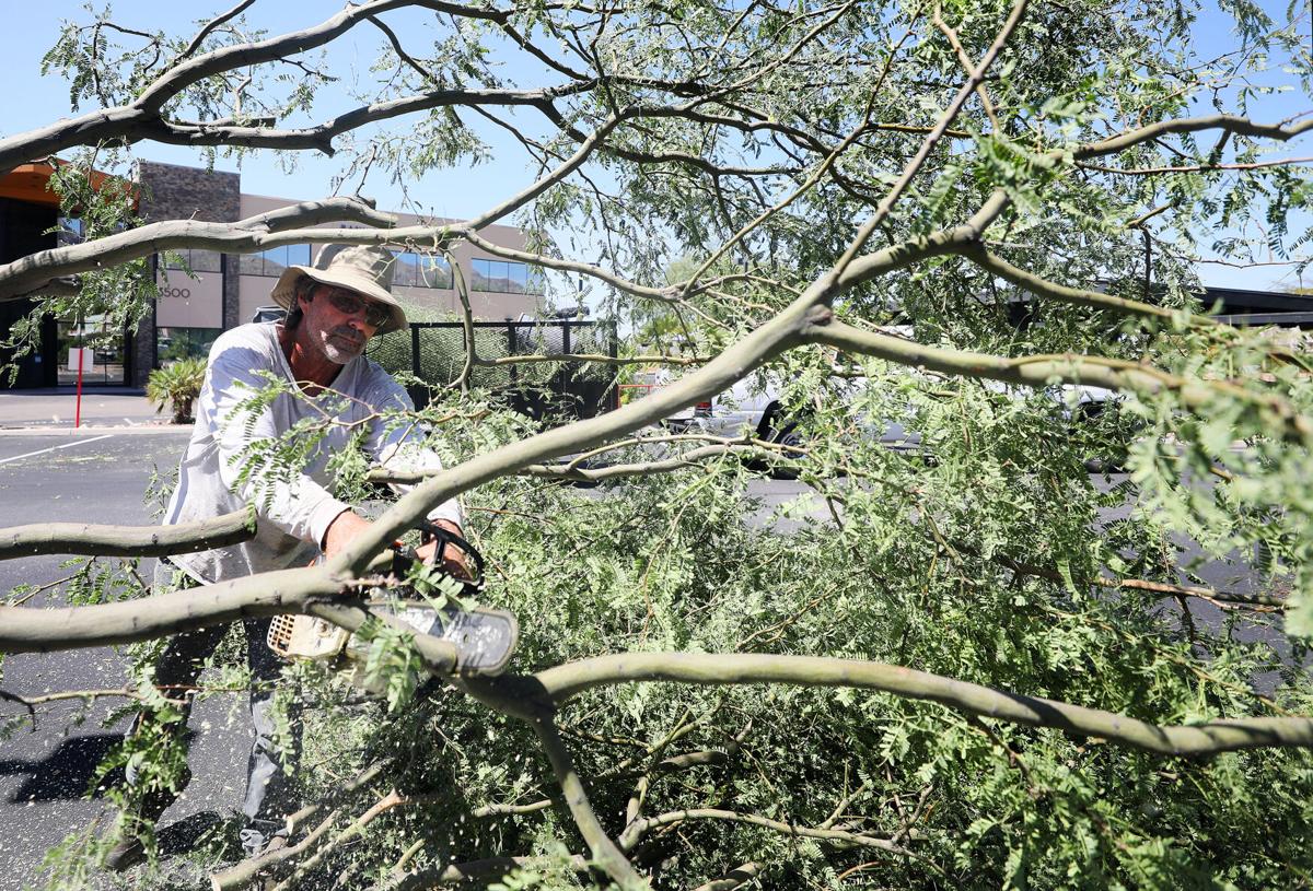Photos: Microburst from Monday's monsoon causes damage in northeast ...