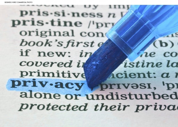 Tech giants given role in online privacy push