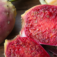 Arizona Cactus Ranch | arizona cactus ranch | nopalea | Tucson, AZ ...