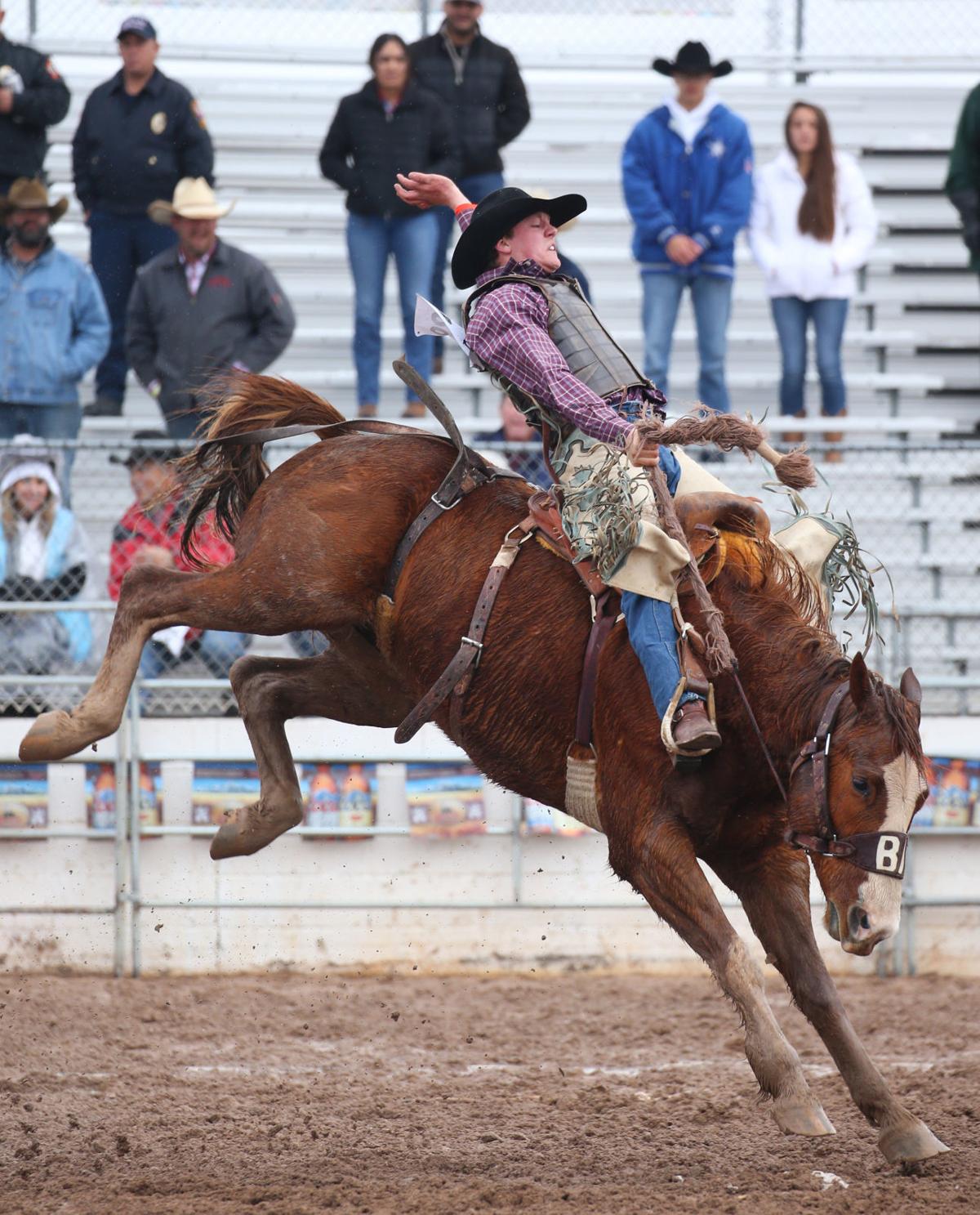 What to expect at this year's Tucson Rodeo | Caliente | tucson.com