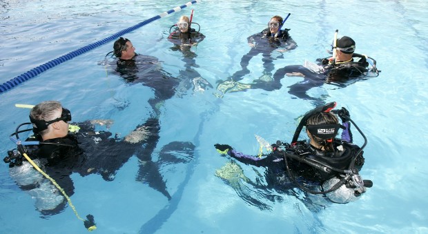 Youngsters dive into summer camp