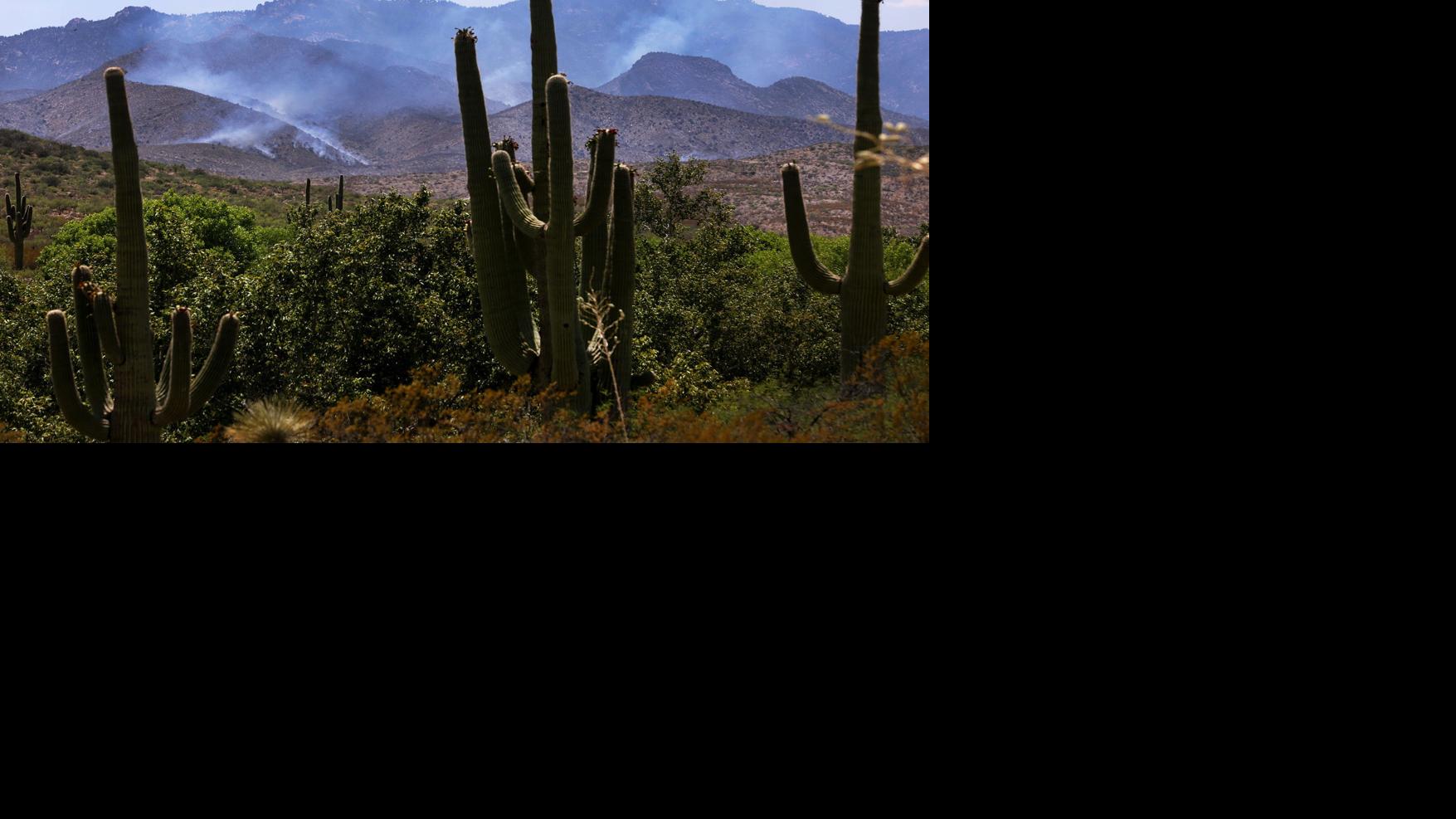 Burro Fire now over one-third contained, 5 miles from Mount Lemmon's ...